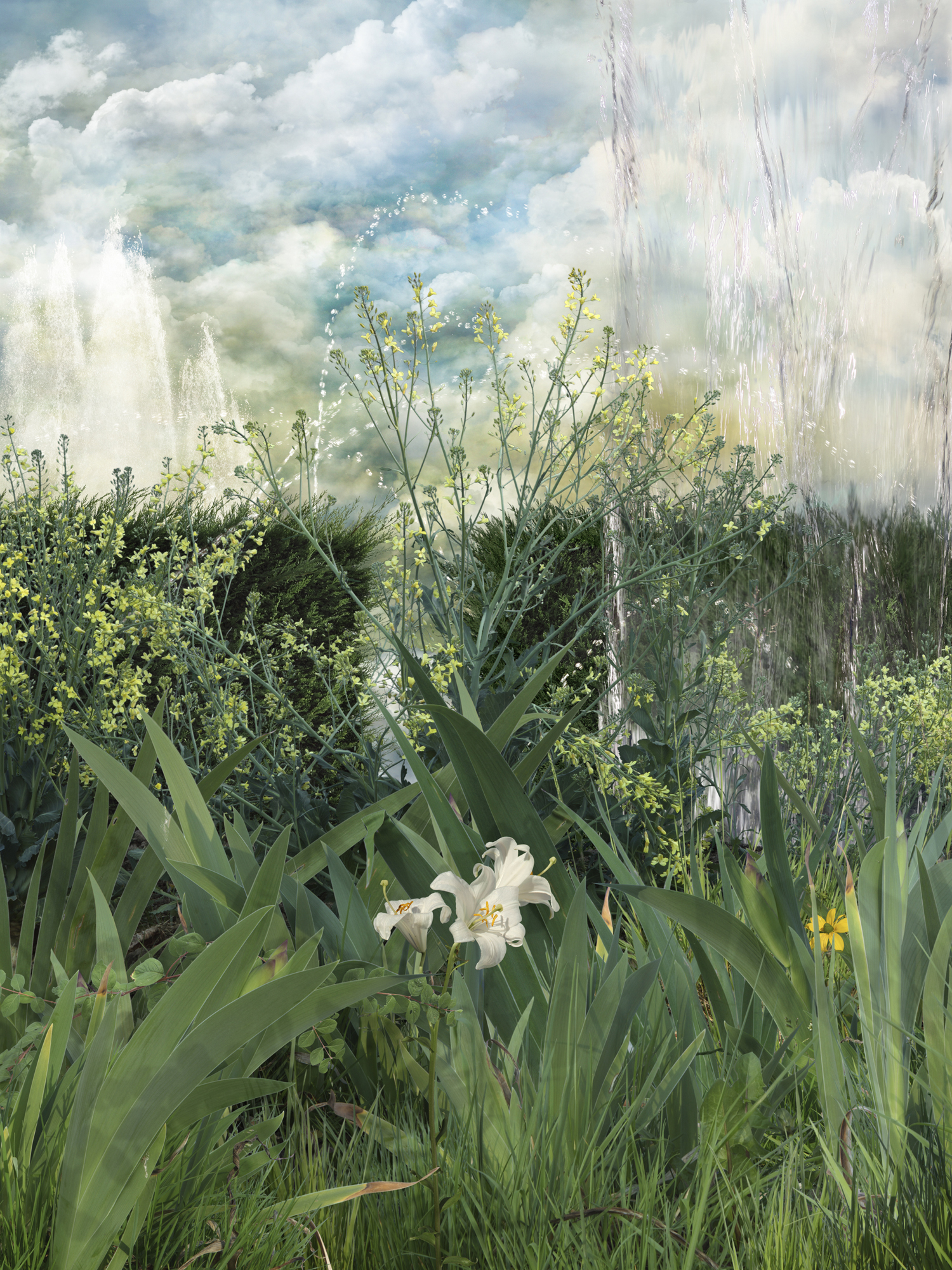 Alegría en el jardín – JOSE RAMON AIS