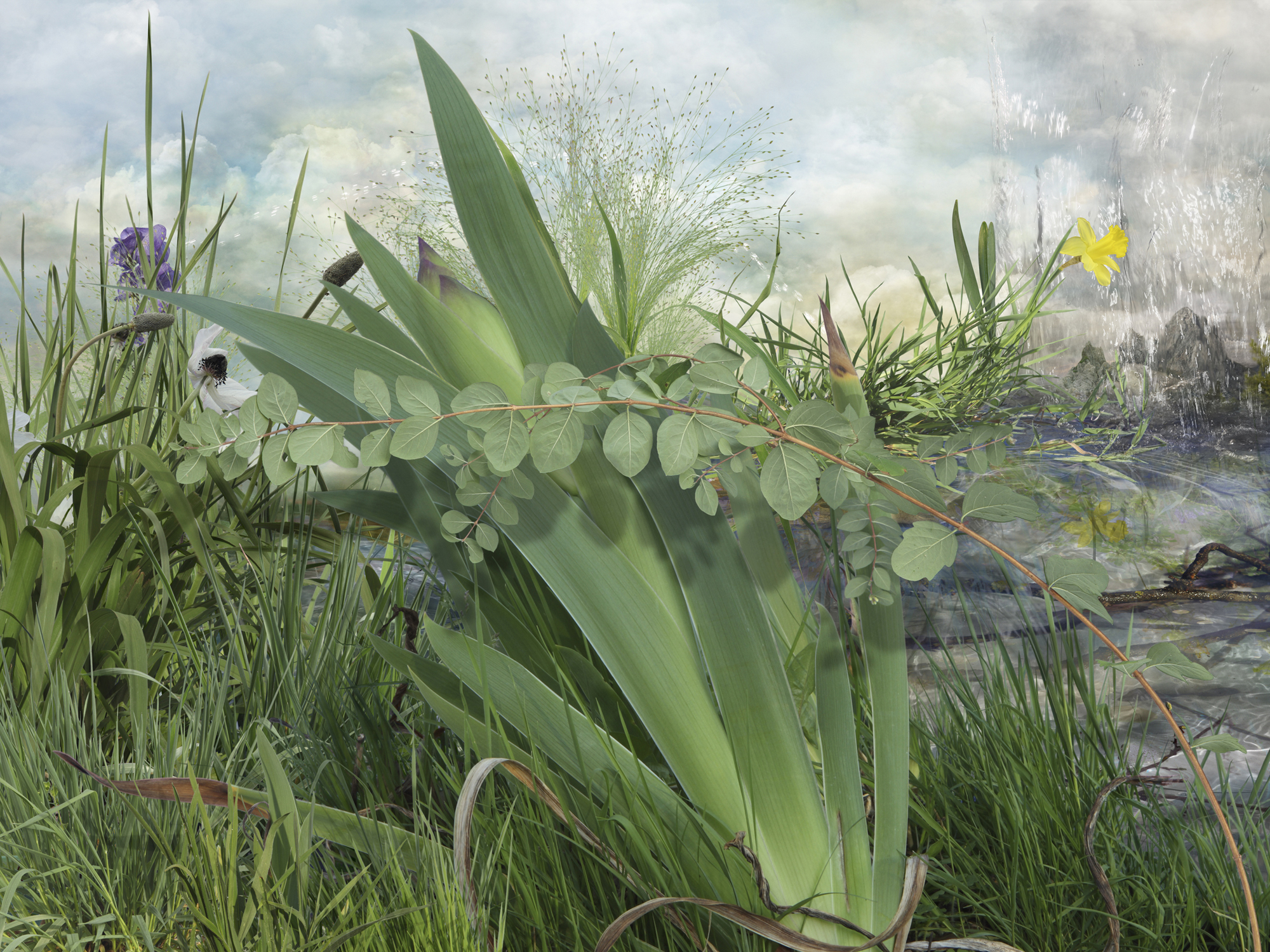 Alegría en el jardín - JOSE RAMON AIS