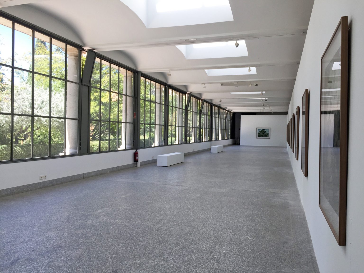 Parque natural – JOSE RAMON AIS