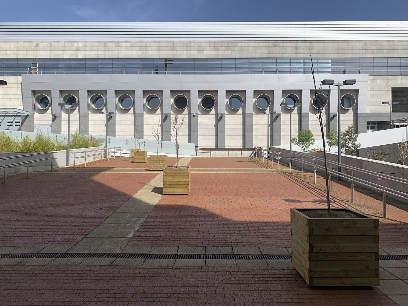 el ladrón de miel / arbolado para calles, imperios y paraísos – JOSE ...